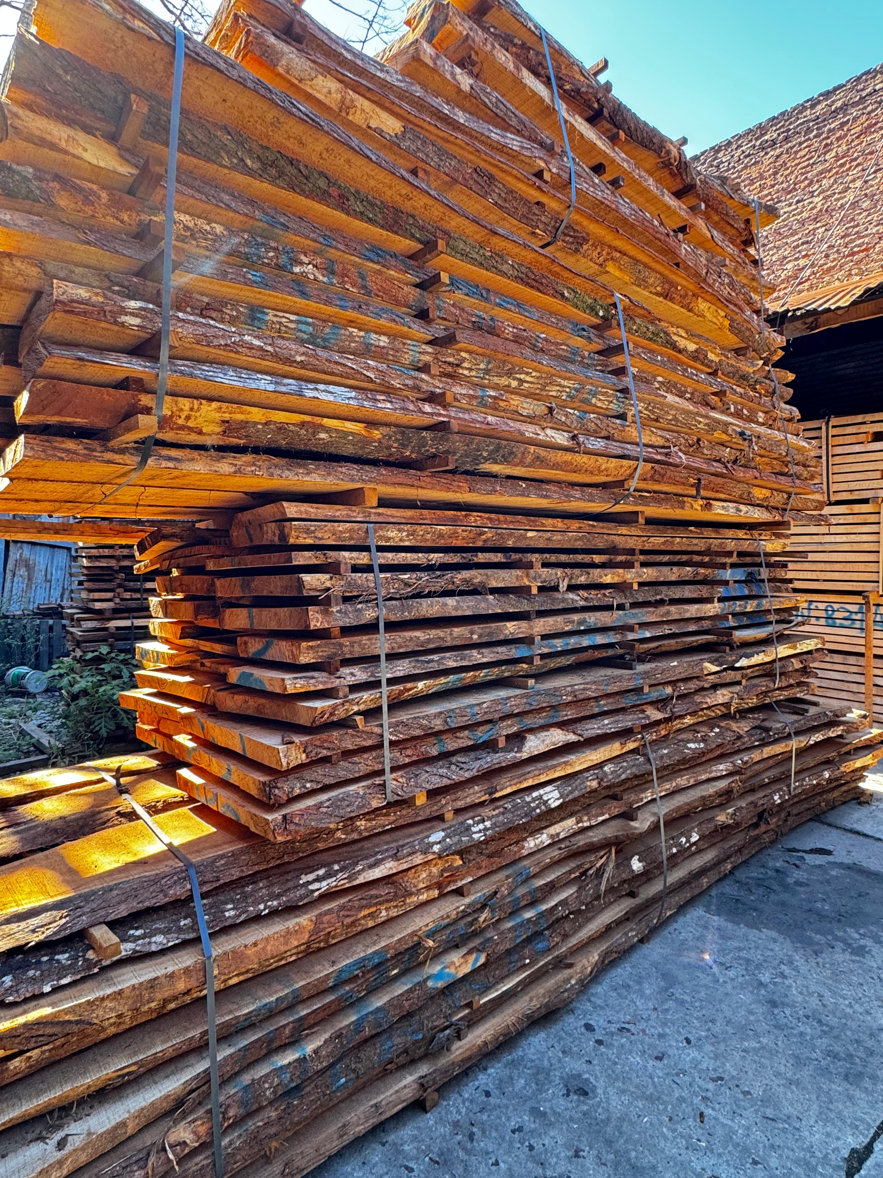 Madera en Rollo | Trevisan Maderas